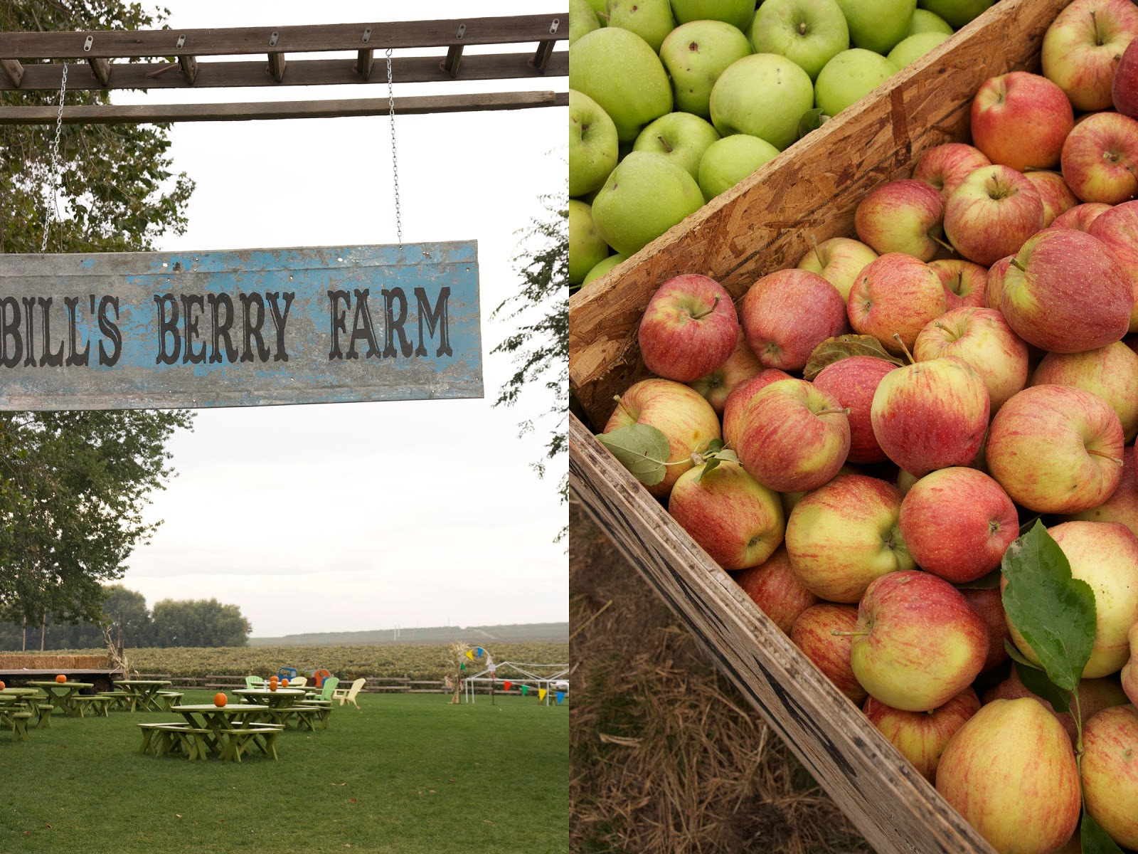 Bill's Berry Farm was hosting a festival the day we arrived so there ...