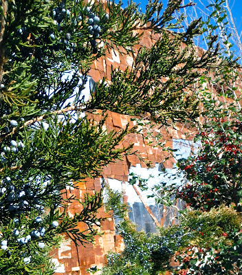 the back quarter acre: March along the High Line