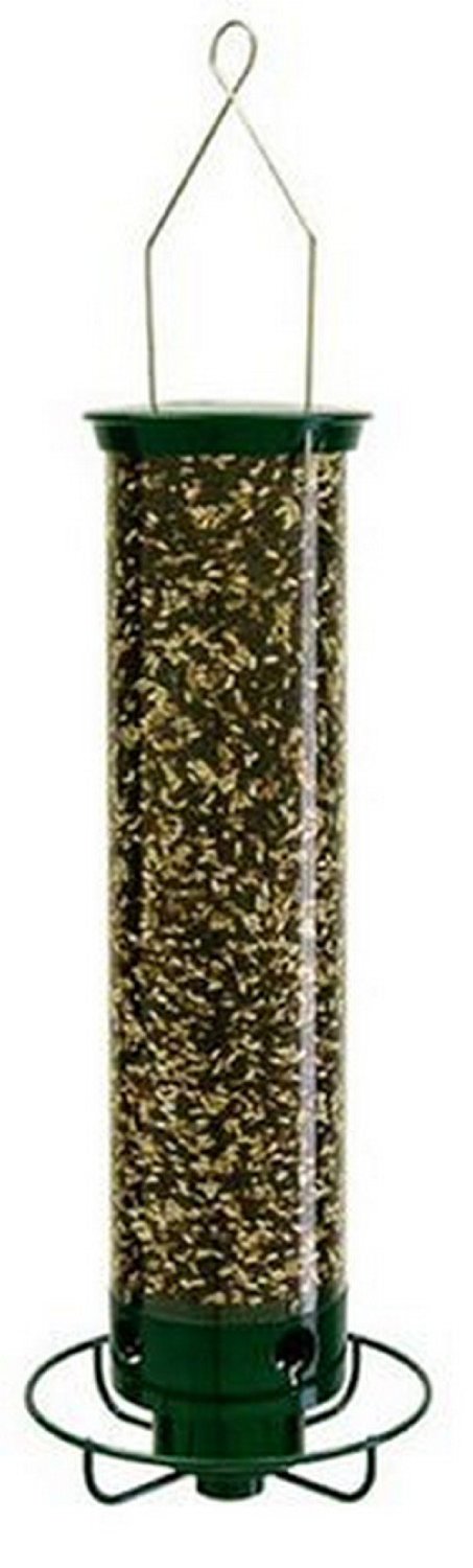 Spinning Squirrel Proof Bird Feeder - Droll Yankees Flipper Review ...