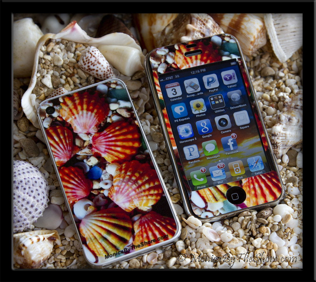Monica's Blog: SUNRISE SHELL iPHONE CASES & COVERS