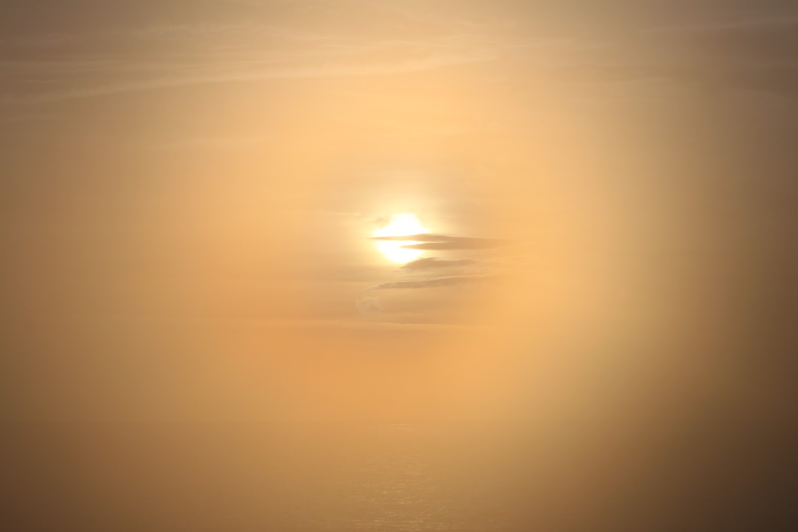 Ray Lewis to Host and Exhibit Photos as part of MAP's Annual Gala ...