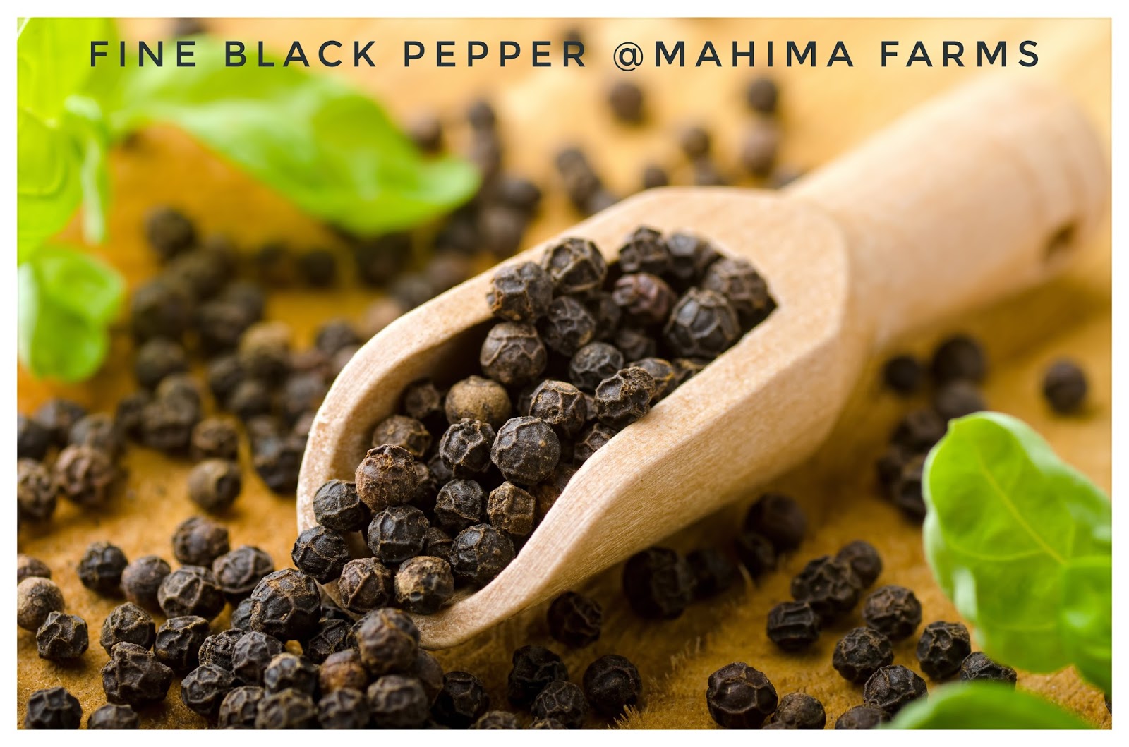 Mahima Hut Homestay: Mahima Farms- Your Home In Coorg