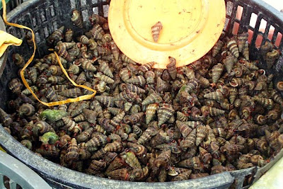 FOOD & BEVERAGE吃: BALITONG