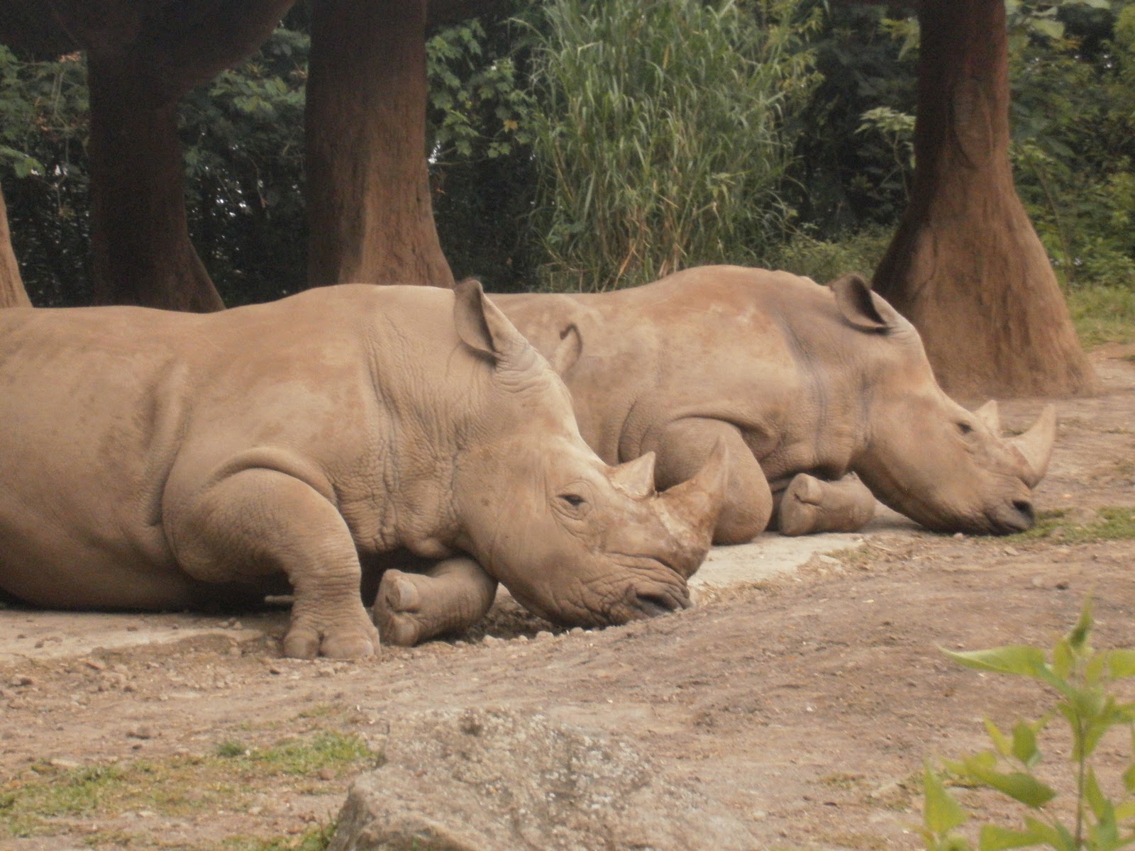 Fantastic photos of the Northwest Trek Wildlife Park | BOOMSbeat