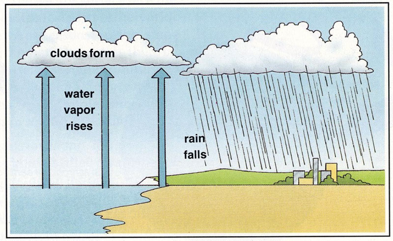 What is the weather?