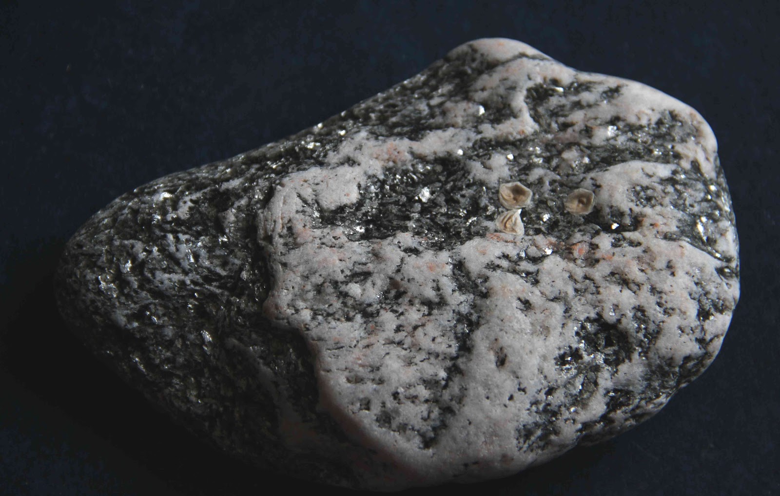 U3A Skye Geology: Sheena's pretty rocks day