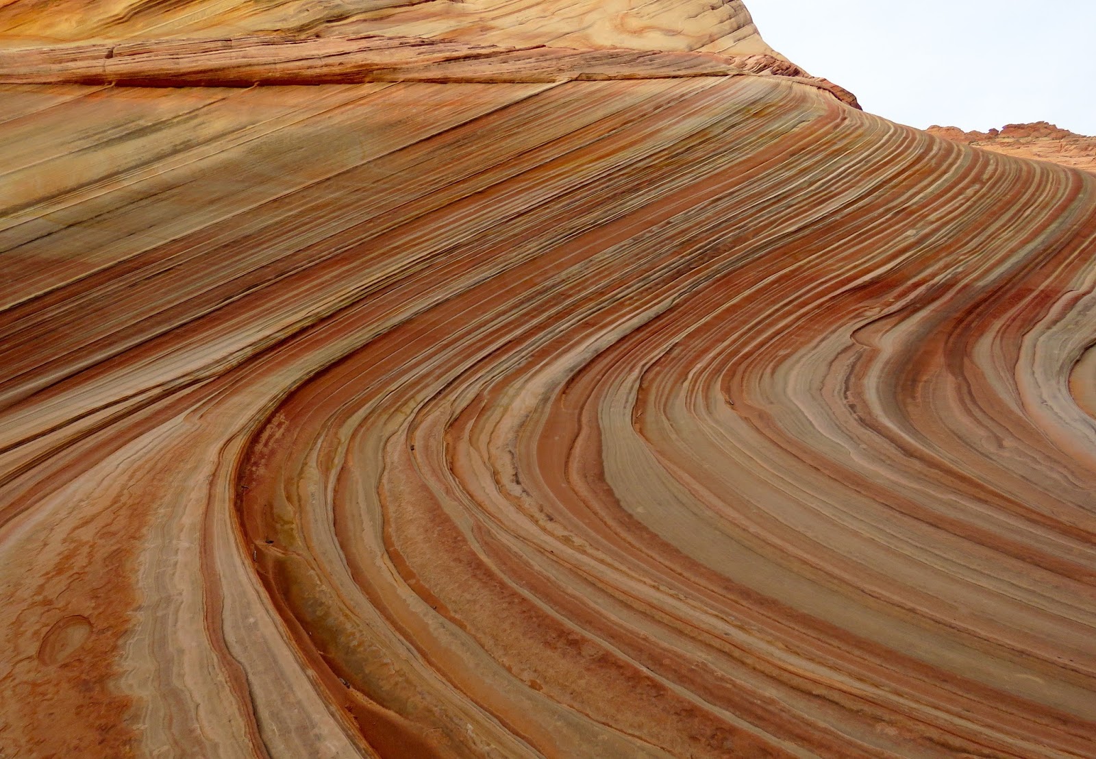 Where's Liz? 2016: The WAVE, Kanab, UT