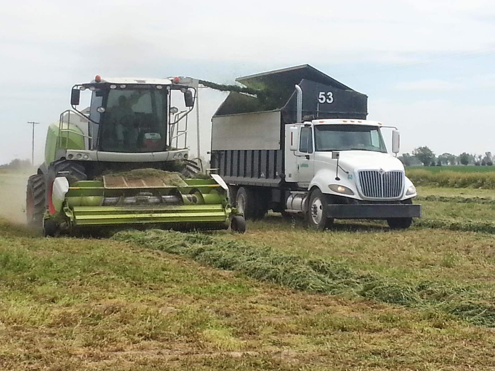 Sustainable Ag: A View from the Field: How Many Harvests? That’s the ...