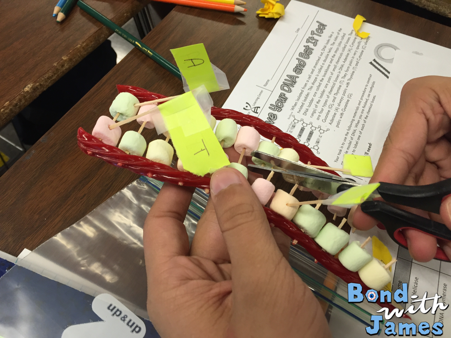 Bond with James: Let's Unwind with Candy DNA!