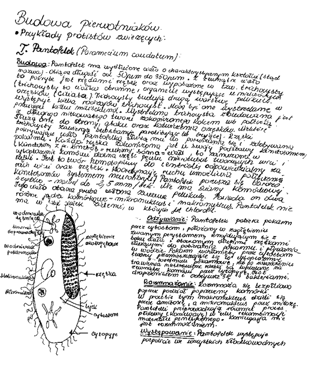 Biologia - nauka o życiu: października 2017