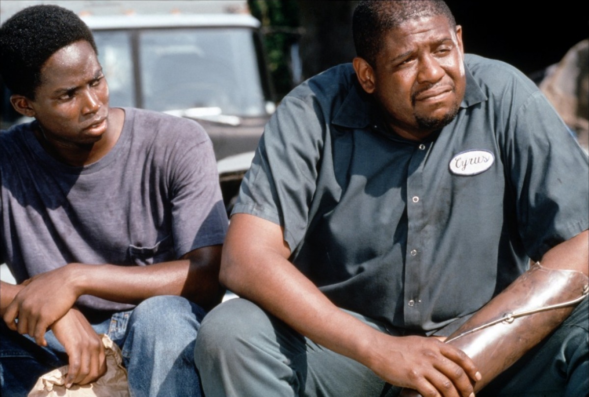 Passion for Movies: Smoke [1995] – An Amiable & Quirky Character-Based ...