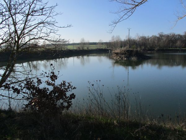 Sud-ouest Toulousain Randonnées: LONGAGES : Lac de la Linde