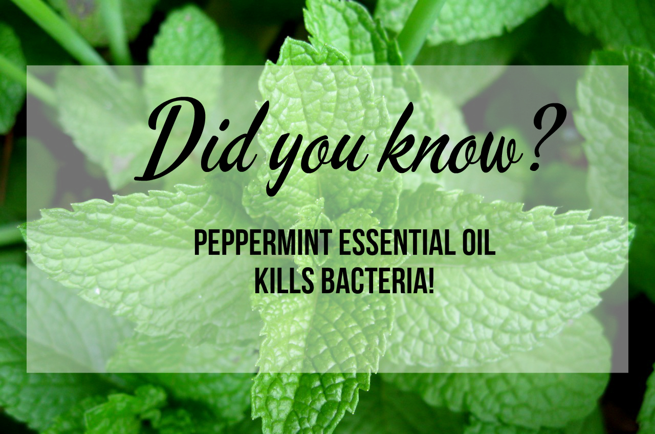 Alone with my tea: 5 Uses || Peppermint Essential Oil