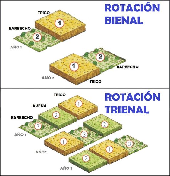Geo Bolitxeros : INFOGRAFÍA: ROTACIONES