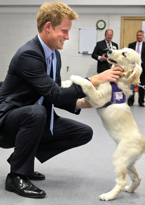 VJBrendan.com: Dudes With Dogs... Prince Harry