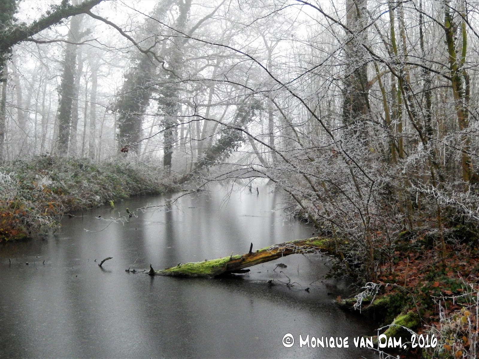 Groene Wissel Breukelen