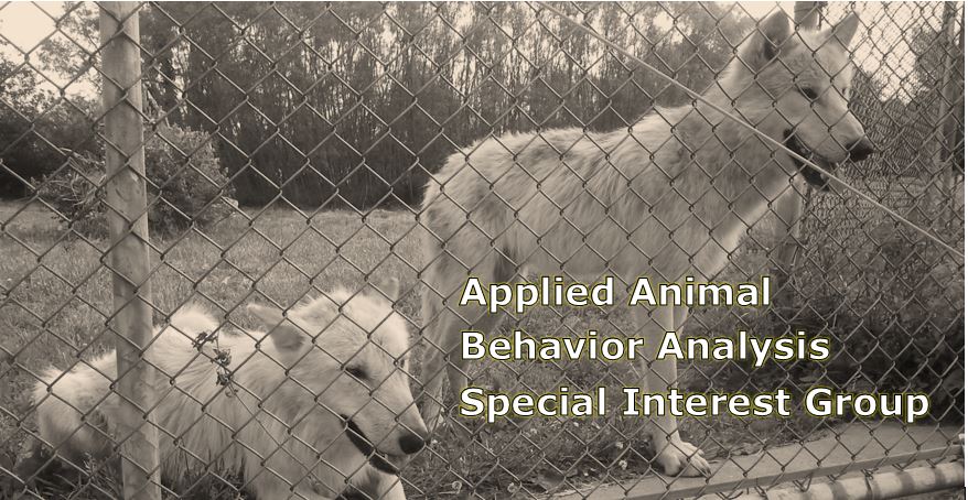 Animal Behavior Analysis (ABAI SIG)
