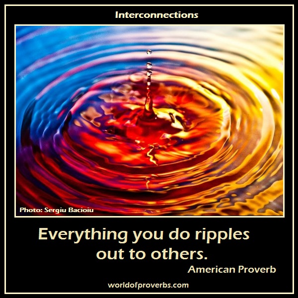 Photo by Sergiu Bacioiu from Romania