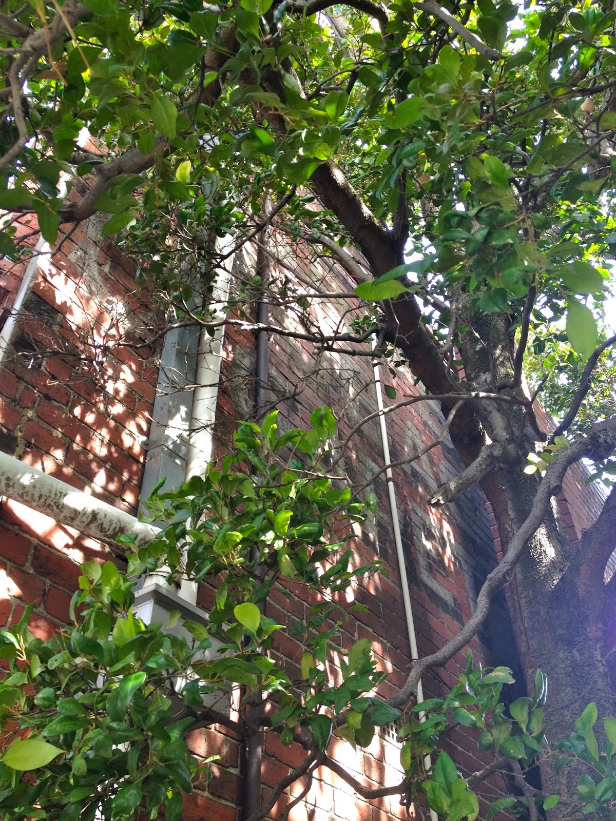 Finding the radio book: A big collection of Melbourne ghost signs ...