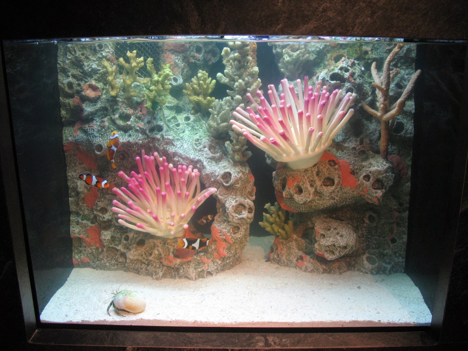 A Review of The Turtle Back Zoo: Classic New Jersey Day Trips | The ...