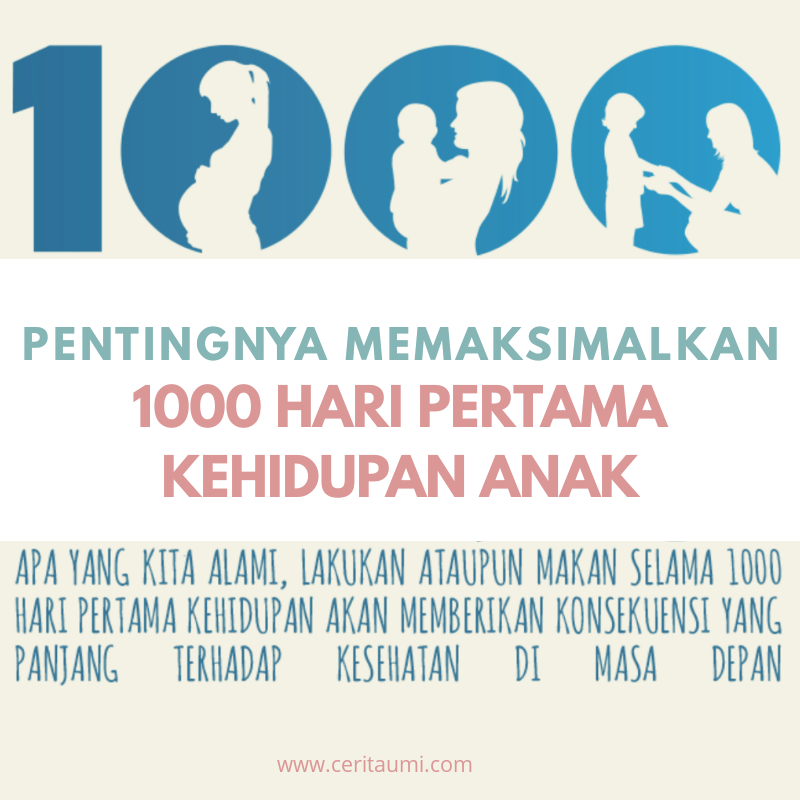 Pentingnya Memaksimalkan 1000 Hari Pertama Kehidupan Anak - Cerita Umi