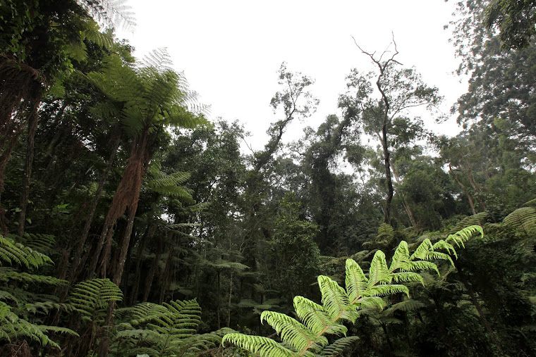 Lushoto Tourists Information Centre: How to Get there