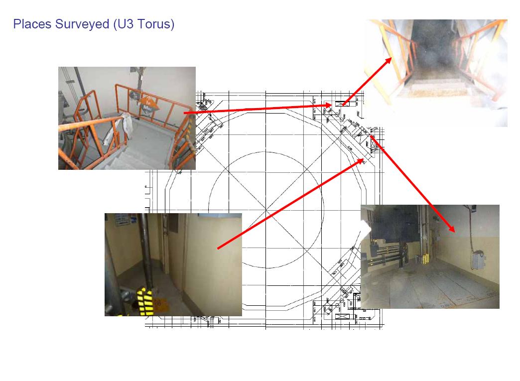 First Photos of the Torus of Reactor 2 at #Fukushima I Nuke Plant after ...