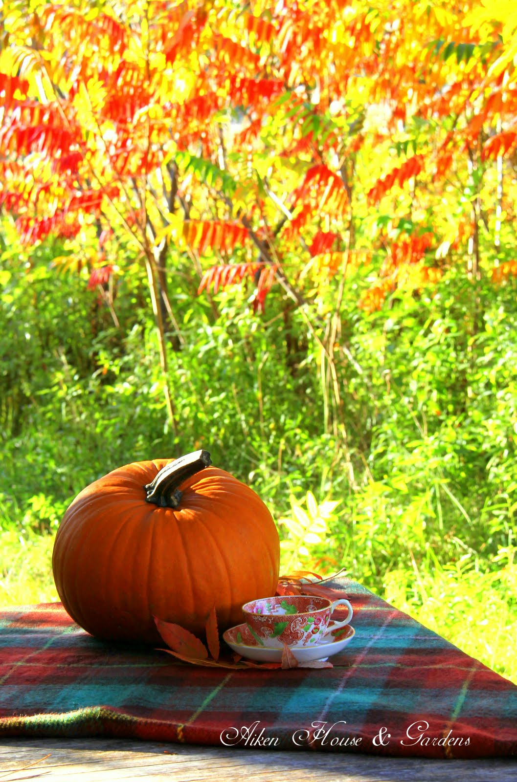 Aiken House & Gardens: A Beautiful Autumn Day