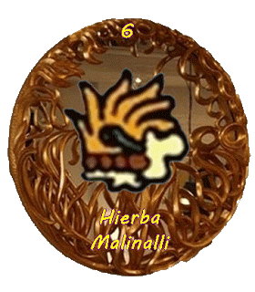 6- Hierba ( Malinalli) - Caracteristicas - Simbolos - Astrologia Azteca ...