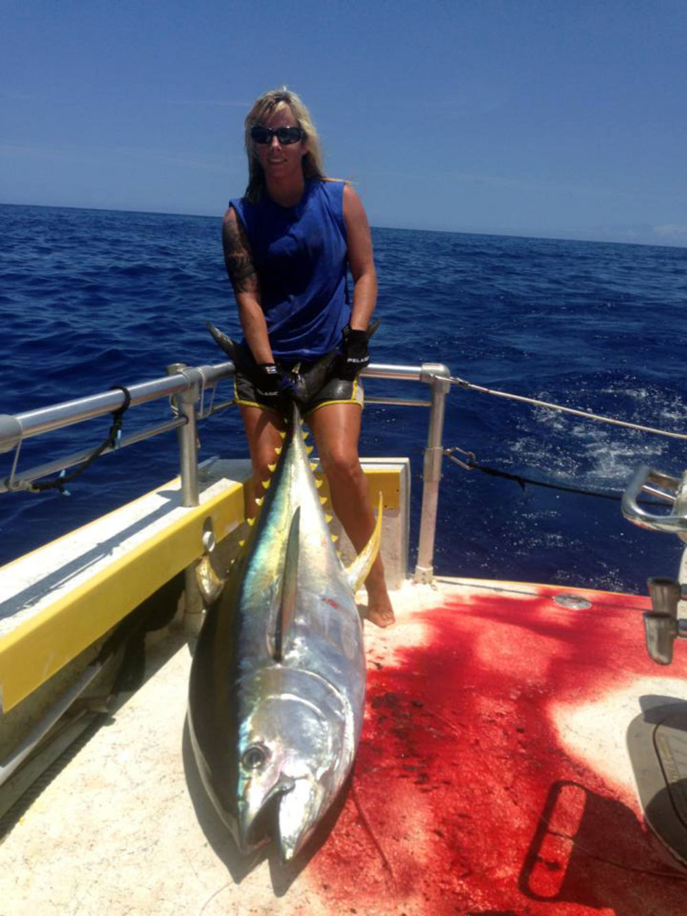 Skipjack Tuna Whole Round Product with High Quality - Tuna Skipjack ...