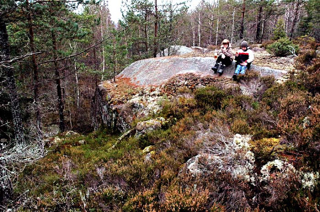 La Ciencia Baila con Dios.: Lars Molin Y SU ESCONDITE SECRETO