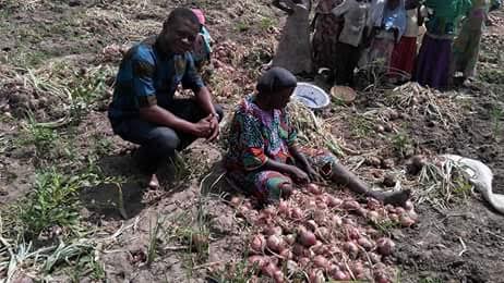 Photos: A village in Borno state where a huge bag of onions costs only N3k