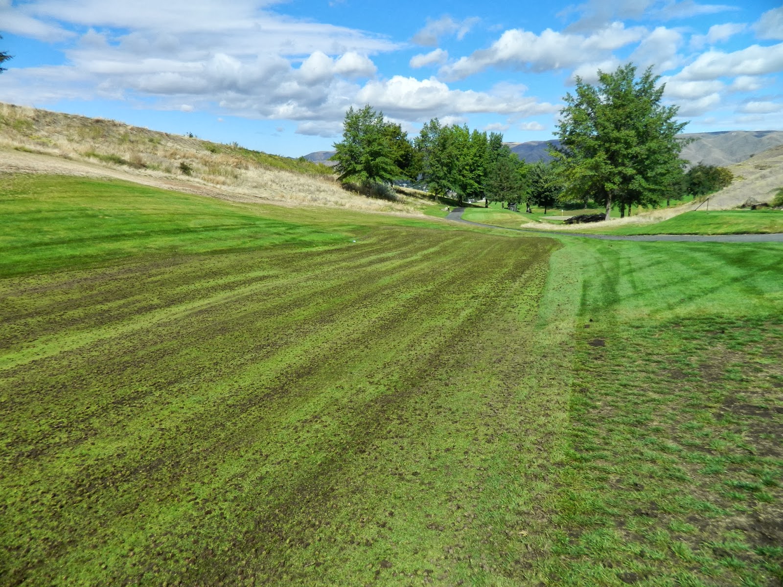 LGCC Golf Maintenance: Aerification complete