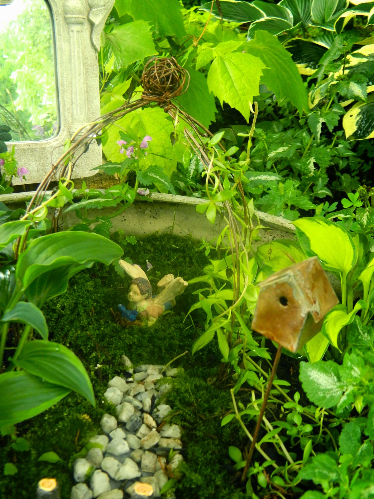 Pam's English Cottage Garden: Miniature Gardening: Part 3 -- Step-by ...