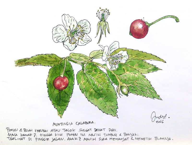 Gambar Dokumenter: January 2016