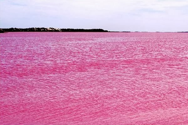 Almeria - Música - Cultura - Deportes - Ocio: EL LAGO ROSA EN EL SENEGAL