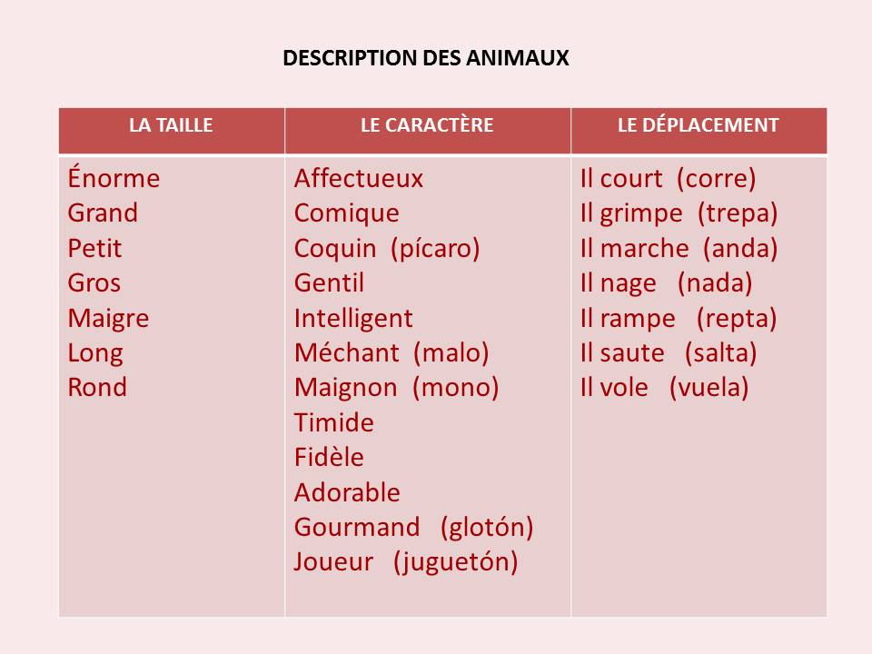 On apprend le Français!: VOCABULAIRE DES ANIMAUX