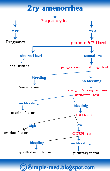 :::simple medicine:::: - Assessment of 2ry amenorrhea algorithm.