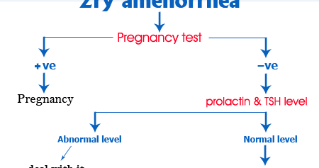 :::simple medicine:::: - Assessment of 2ry amenorrhea algorithm.
