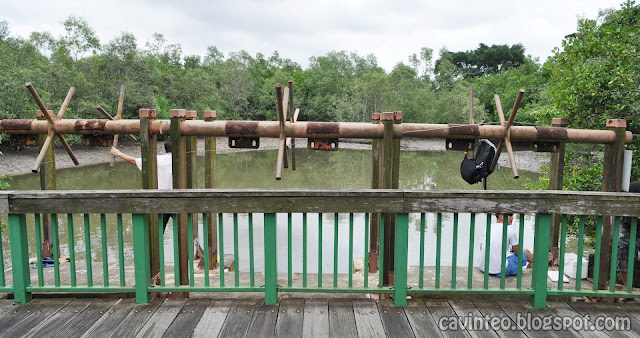 Entree Kibbles: Cycling Trip to Pulau Ubin [乌敏岛] Part 2