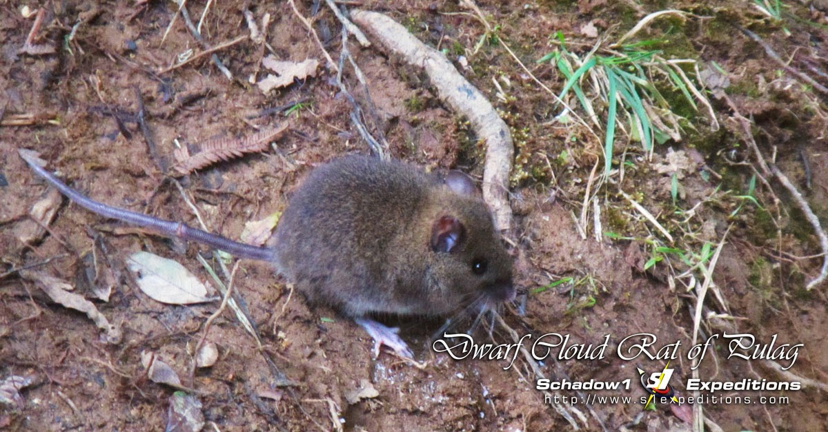 January 2015 : Schadow1 Expeditions | A travel and mapping resource for ...