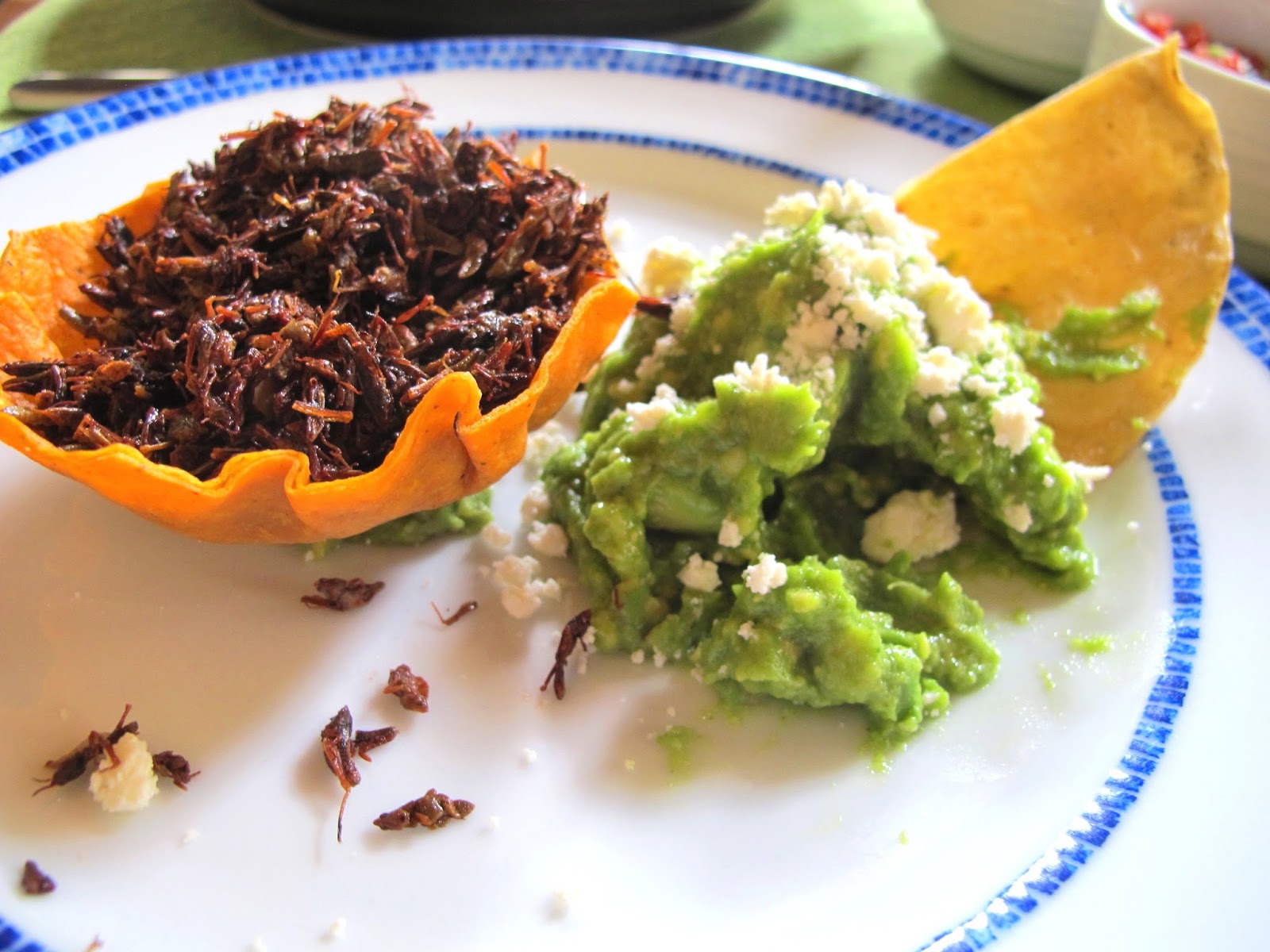 Robin Talks, Cooks and Travels: Chapulines, an aquired taste