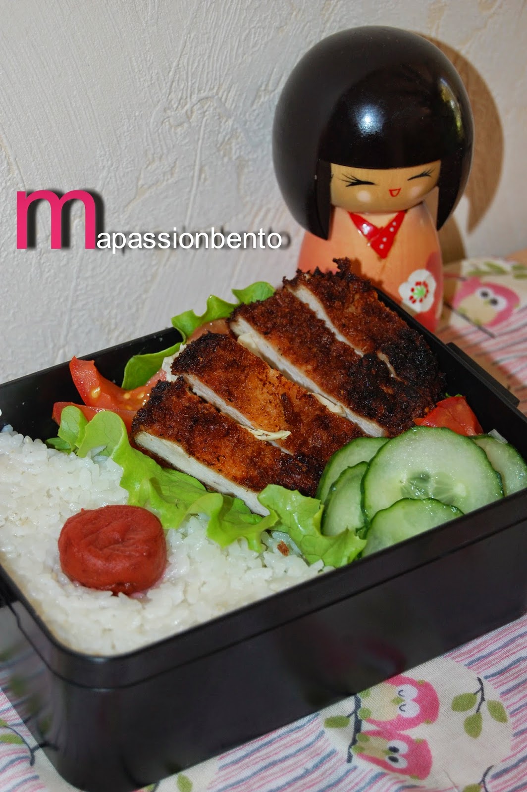 Ma passion bento: Tour du monde des bento : le Japon