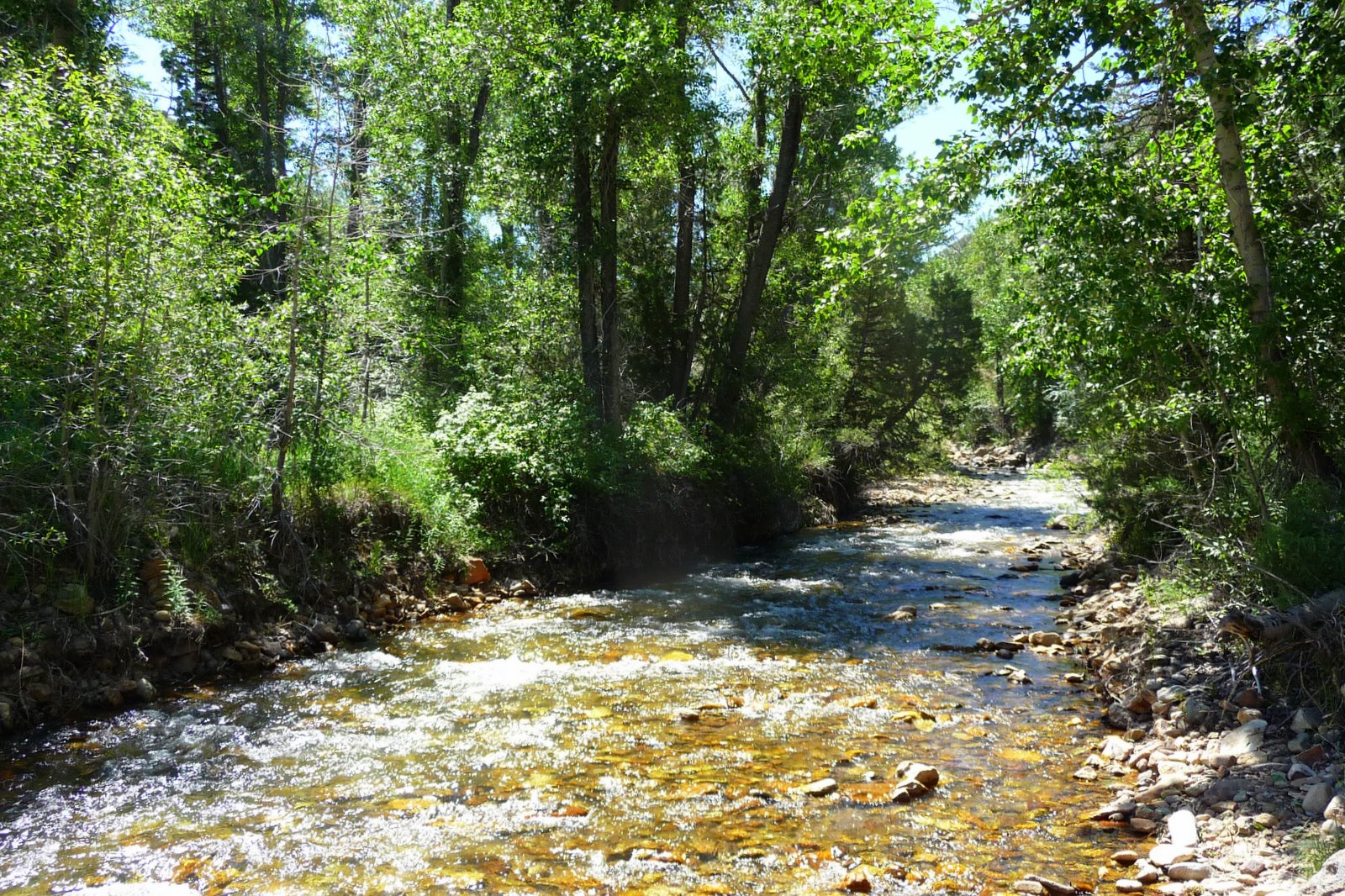 BOKMAS: JARBIDGE ADVENTURE