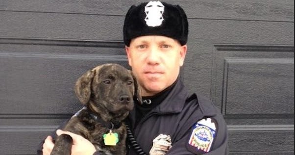 White Wolf : Officer Rescues Puppy a 2nd Time, Giving Him Permanent ...