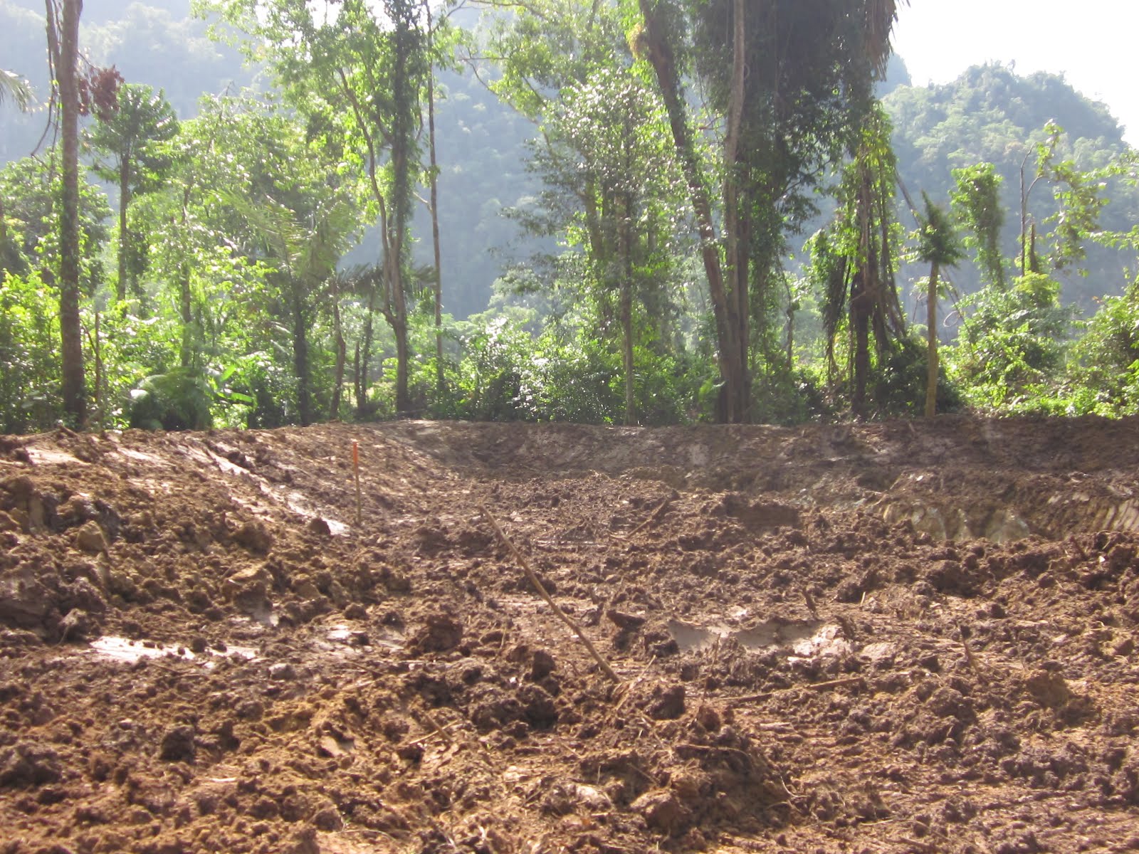 EXOTIC FISHING THAILAND: FIRST STOCK POND IS DUG