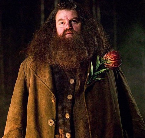 THE GRANDMA'S LOGBOOK ---: RUBEUS HAGRID, STRONG HONESTY AND LOYALTY