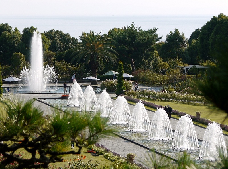 Stardust Talk : Autumn-flowering roses at Suma Rikyu Park, Kobe