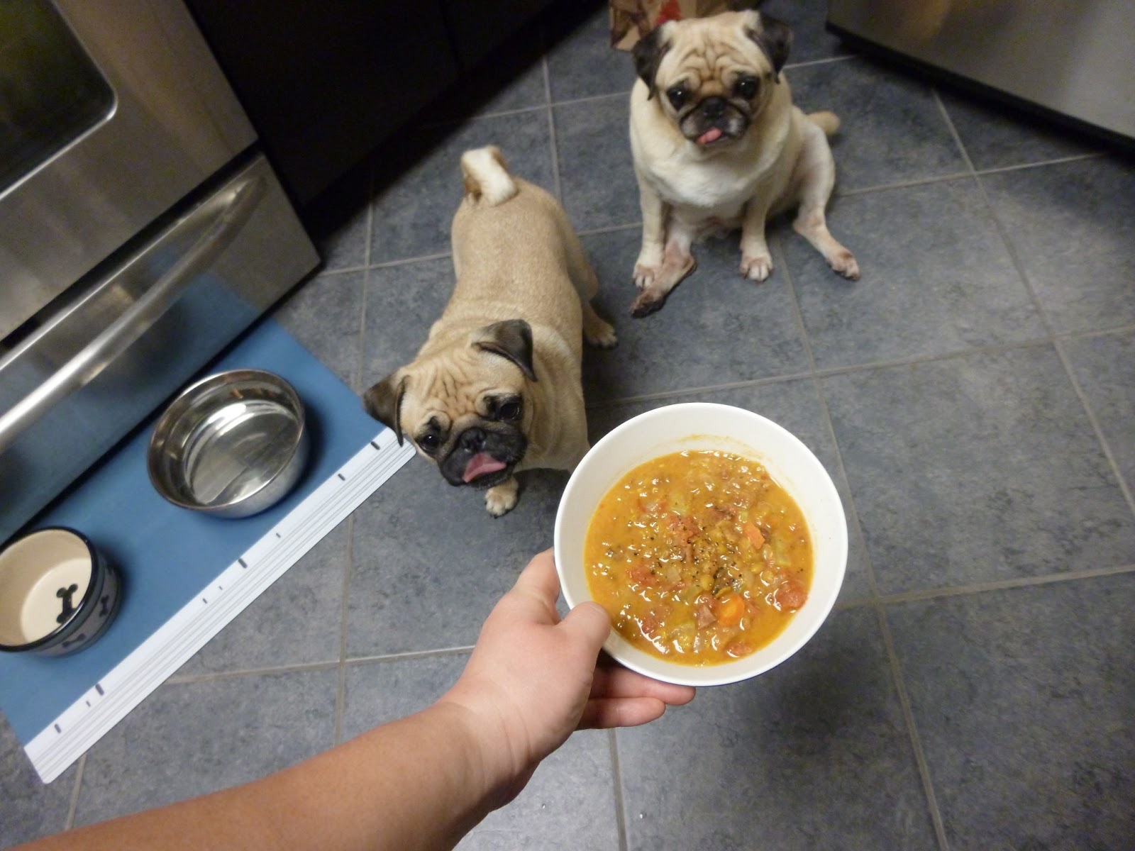 Grubbin' Pugs: Curried Lentils and Tomatoes Stew