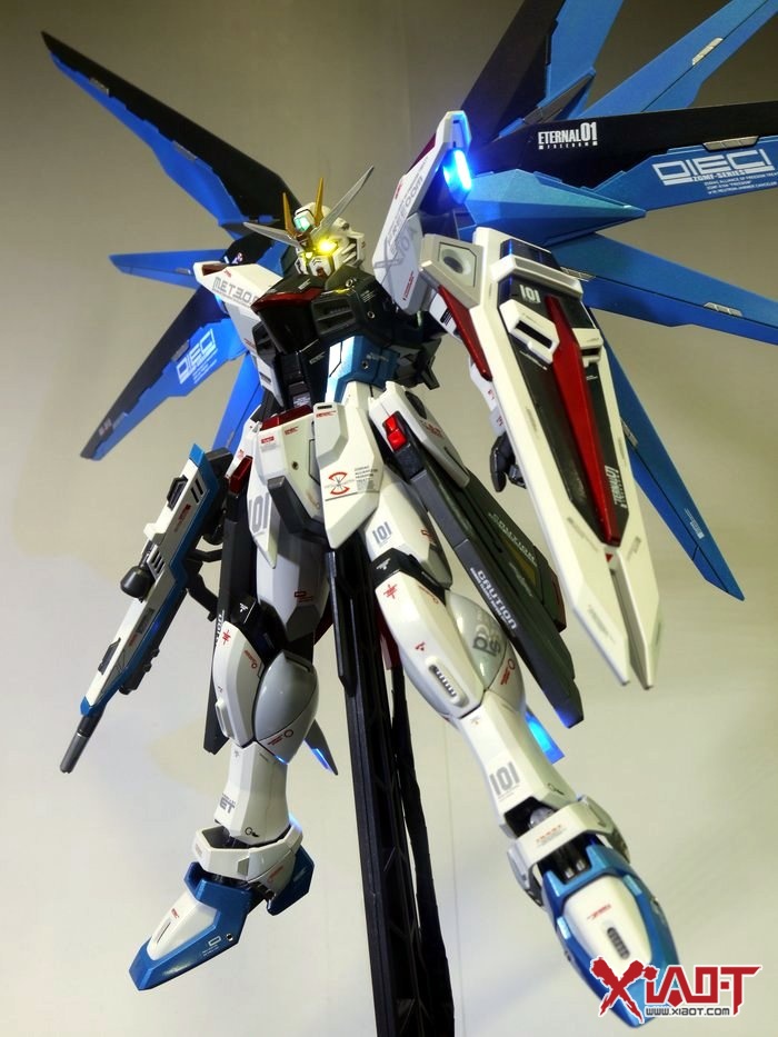 Gundam Family: MG 1/100 Freedom Gundam Custom Build with LED